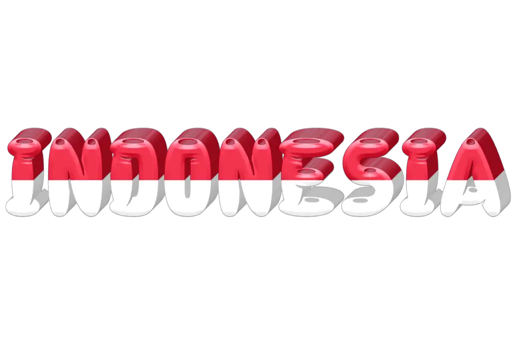 The Vibrant World of Indonesian Sign Language: Origin, Growth, and ...