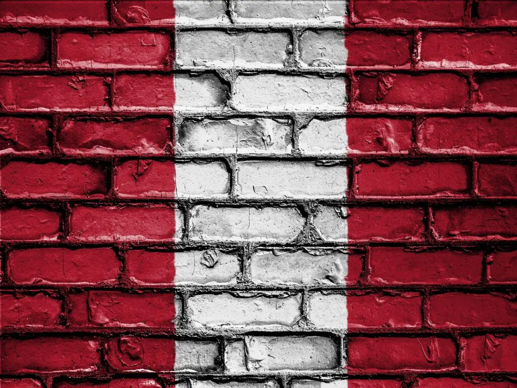 Peruvian Sign Language (LSP): A Key to Inclusion in Peru - Sign ...